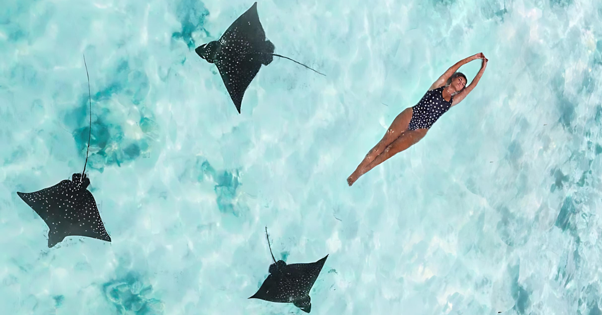 Women's Ocean-Inspired Swim & Activewear | BLUE ADAPTATION